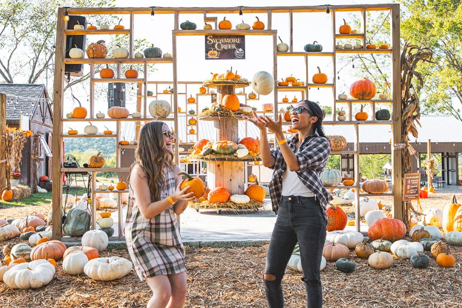 Entertainment, Outdoor Adventures, Plan Your Trip | Explore Branson