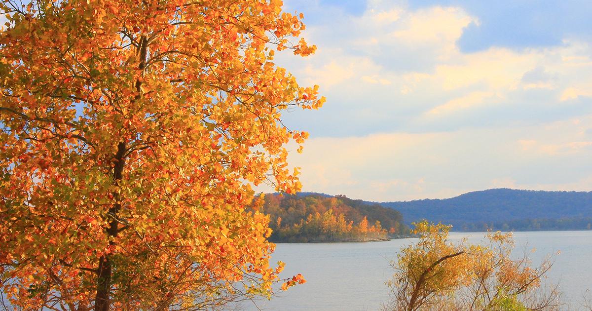 Table Rock Lake Level And Temperature | Cabinets Matttroy
